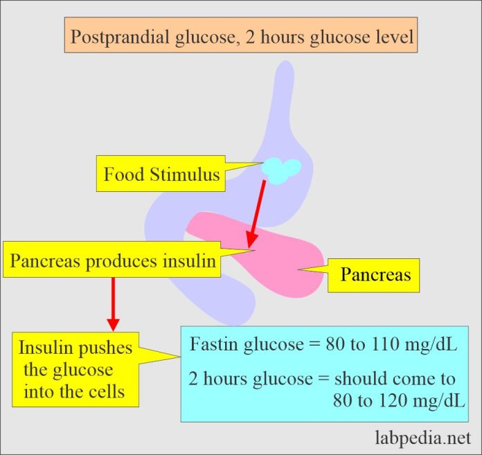 What To Eat Before Glucose Test: Meal For Different Types Of Glucose ...